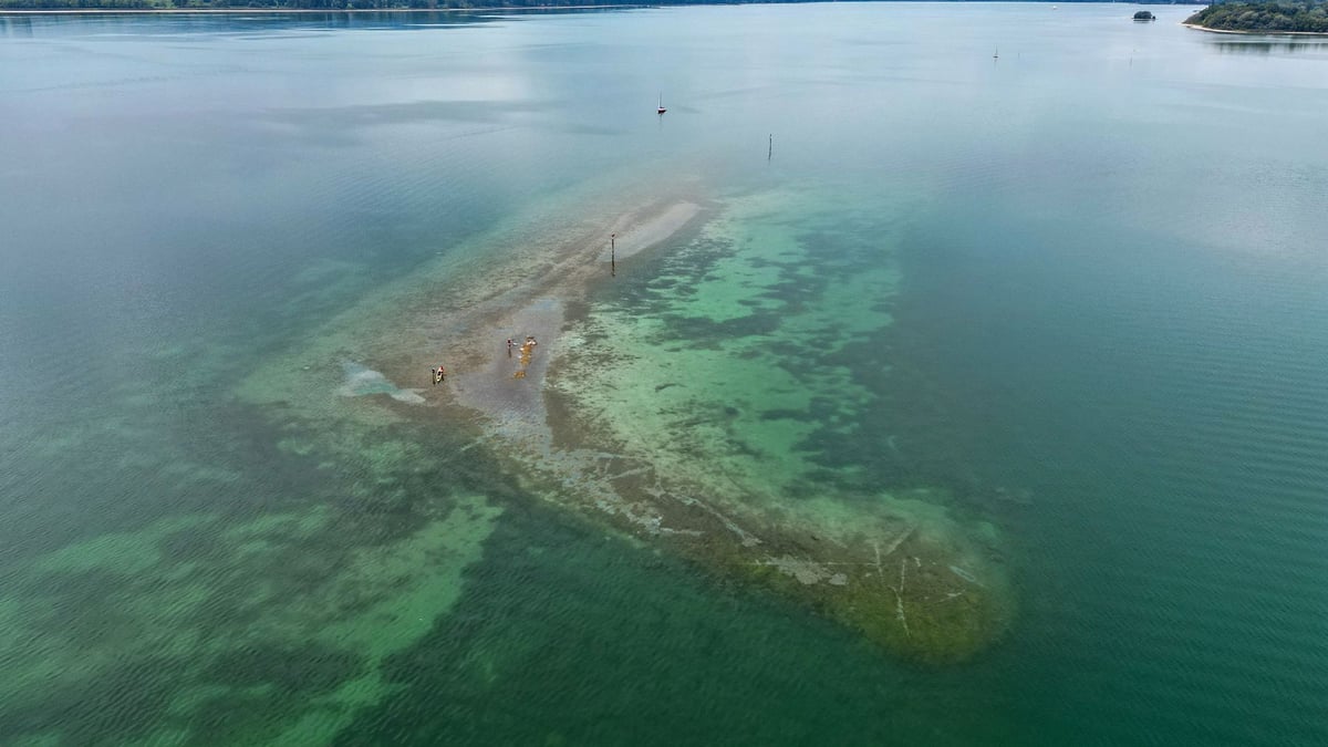 Fischsterben: Felchen im Bodensee vom Aussterben bedroht