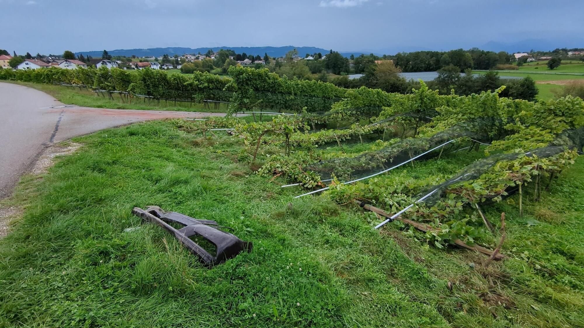 Auto rast in Weinplantage: 11 000 Euro Sachschaden