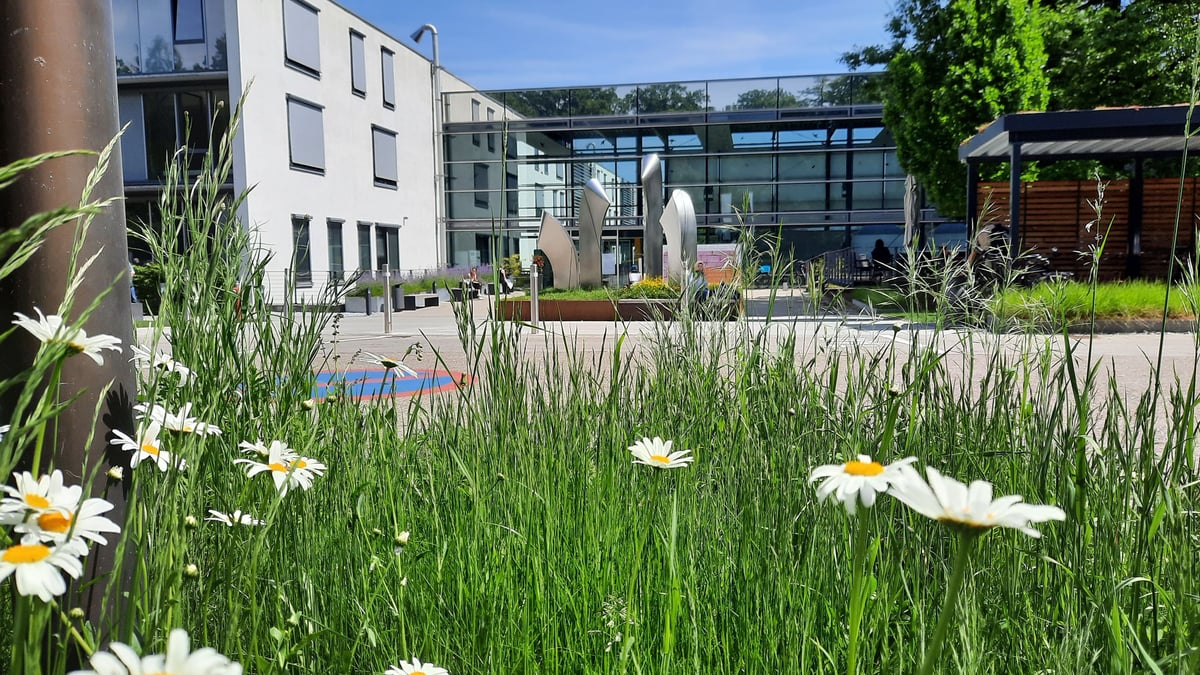 Hausarzt warnt: Droht dem Klinikum in Aalen der Facharzt-Exodus?