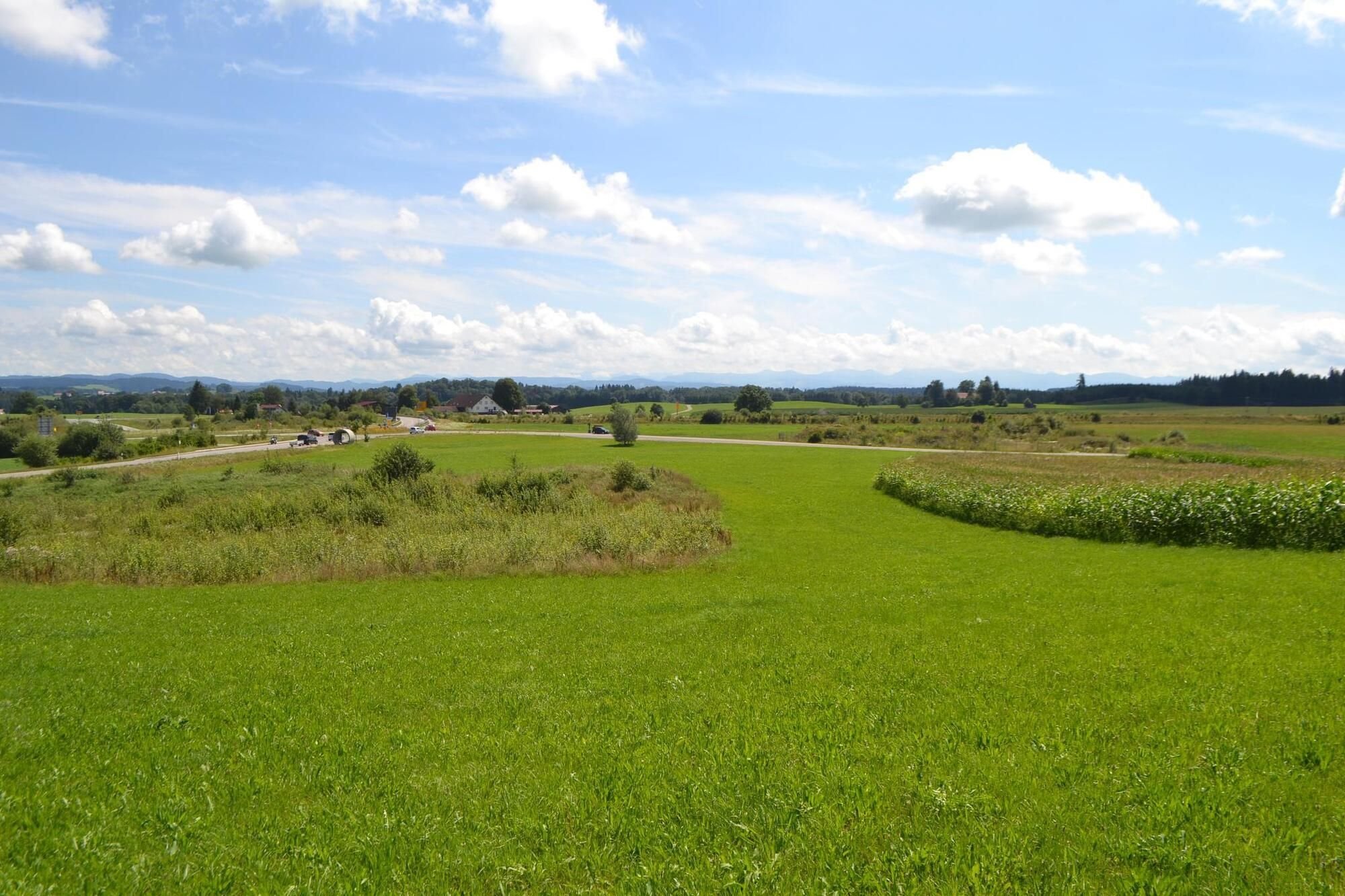 Der Ikowa-Zwist geht weiter