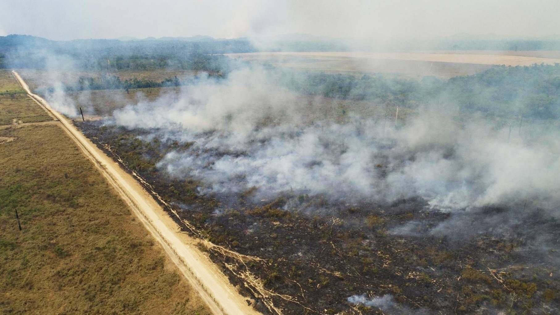 Gefährlicher Kipppunkt: Zerstörung des Amazonas-Gebiets schreitet ...