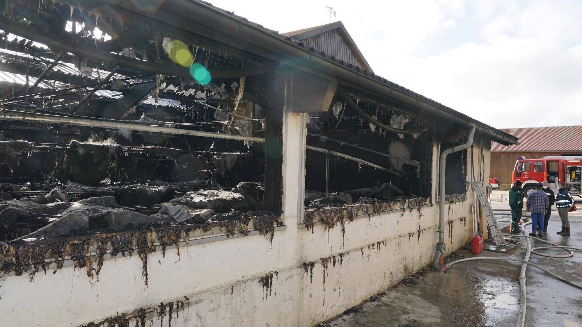 Wiederaufbau nach verheerendem Brand im Schweinestall dauert länger