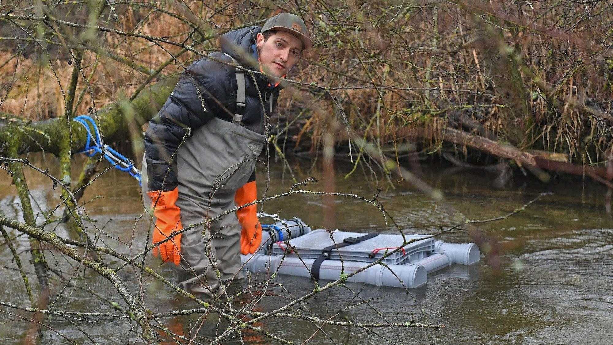 Fischeier in der Brutbox: Wie der Fischereiverein Schwendi den ...