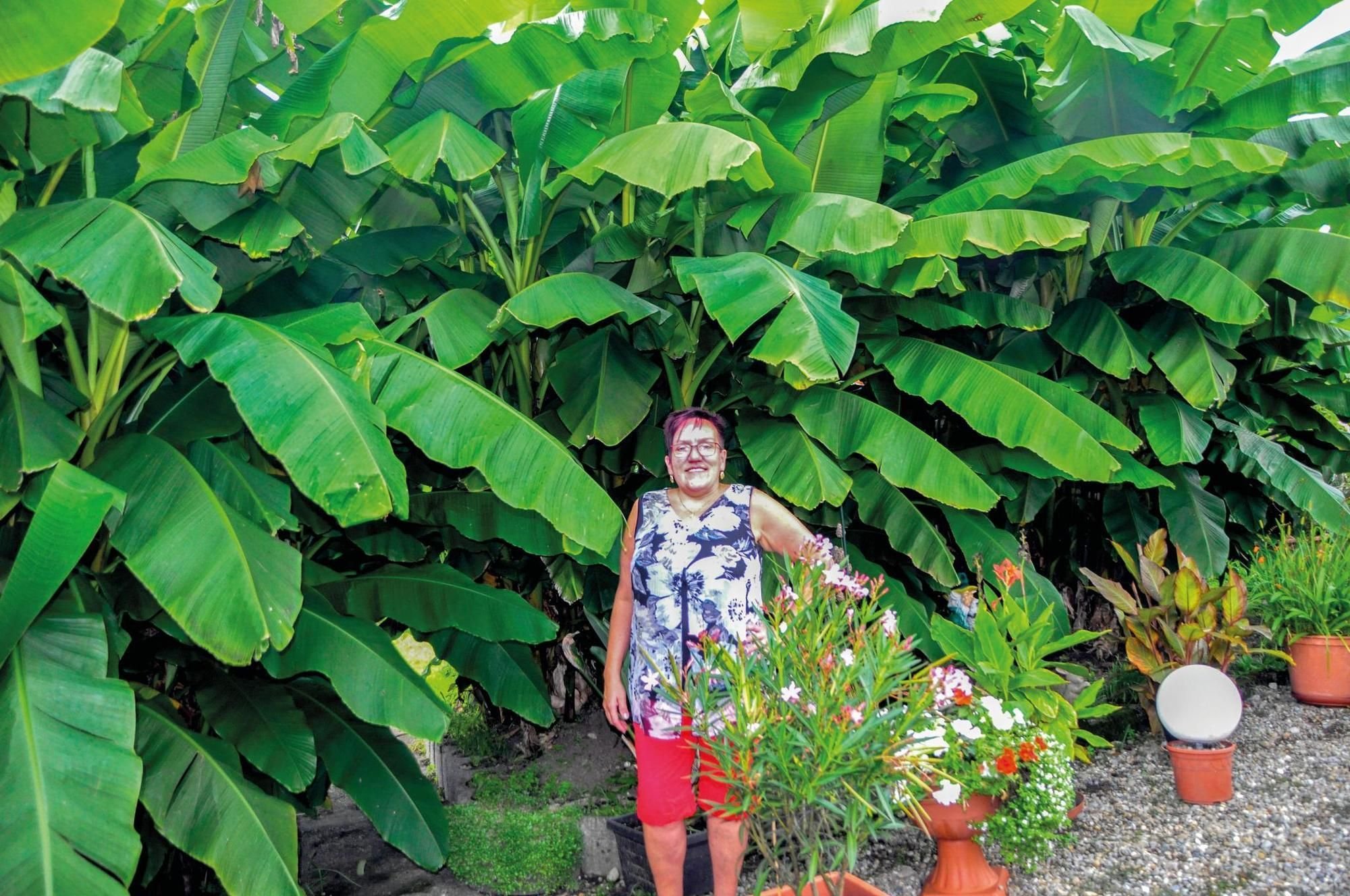 Anna Gaca hat daheim einen Garten Eden