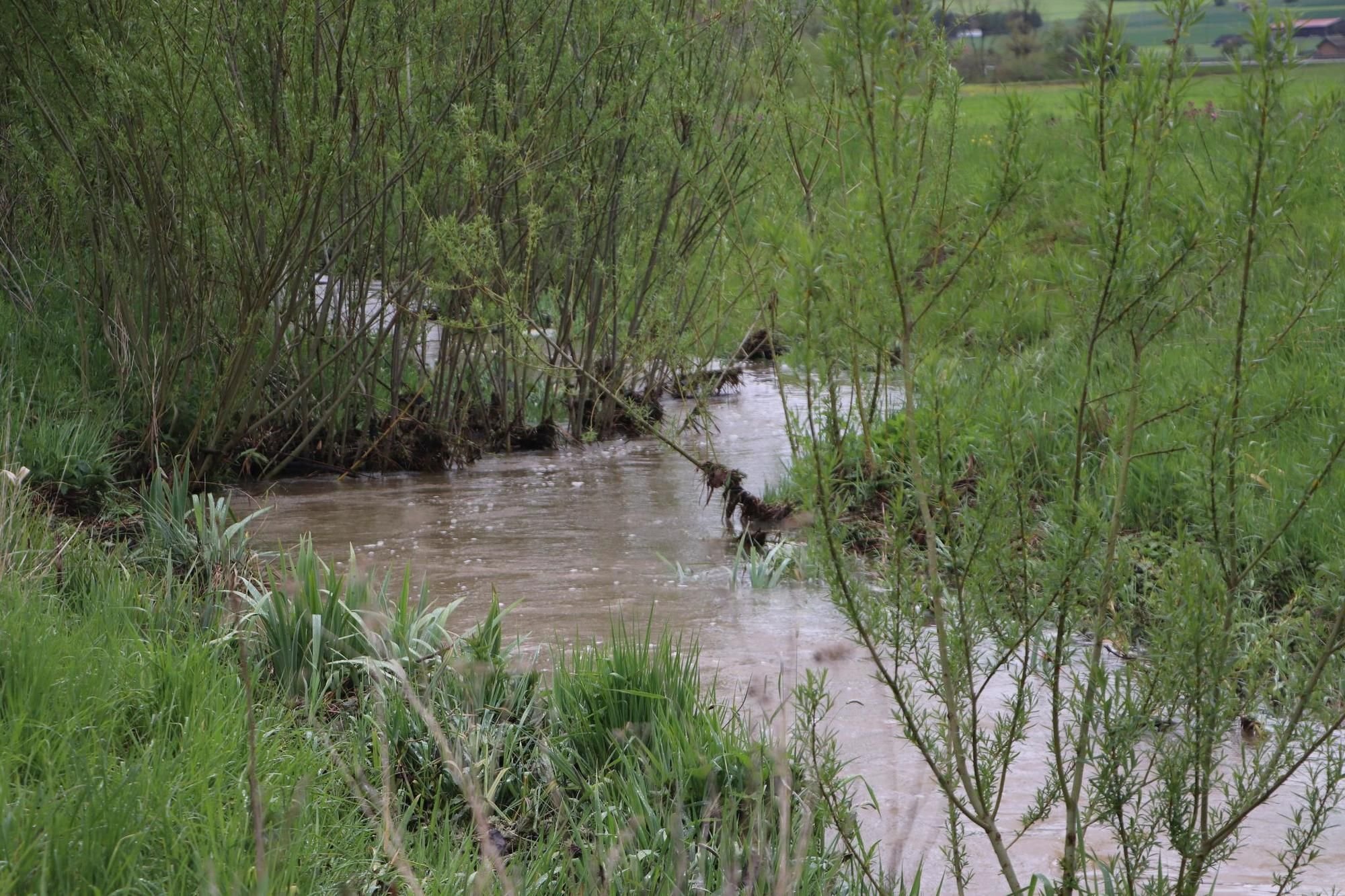 Vom Rinnsal zum rauschenden Bach