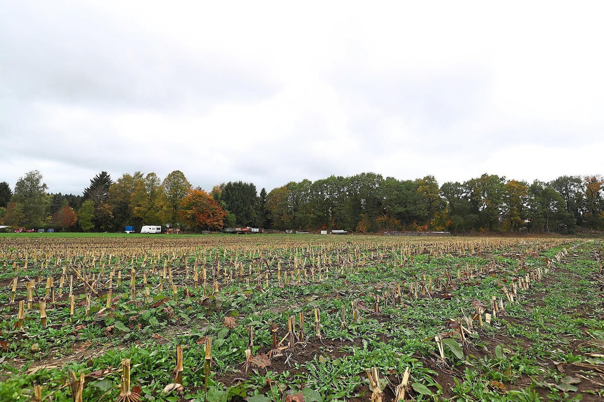 Jochen Hauser lässt die Sonne rein