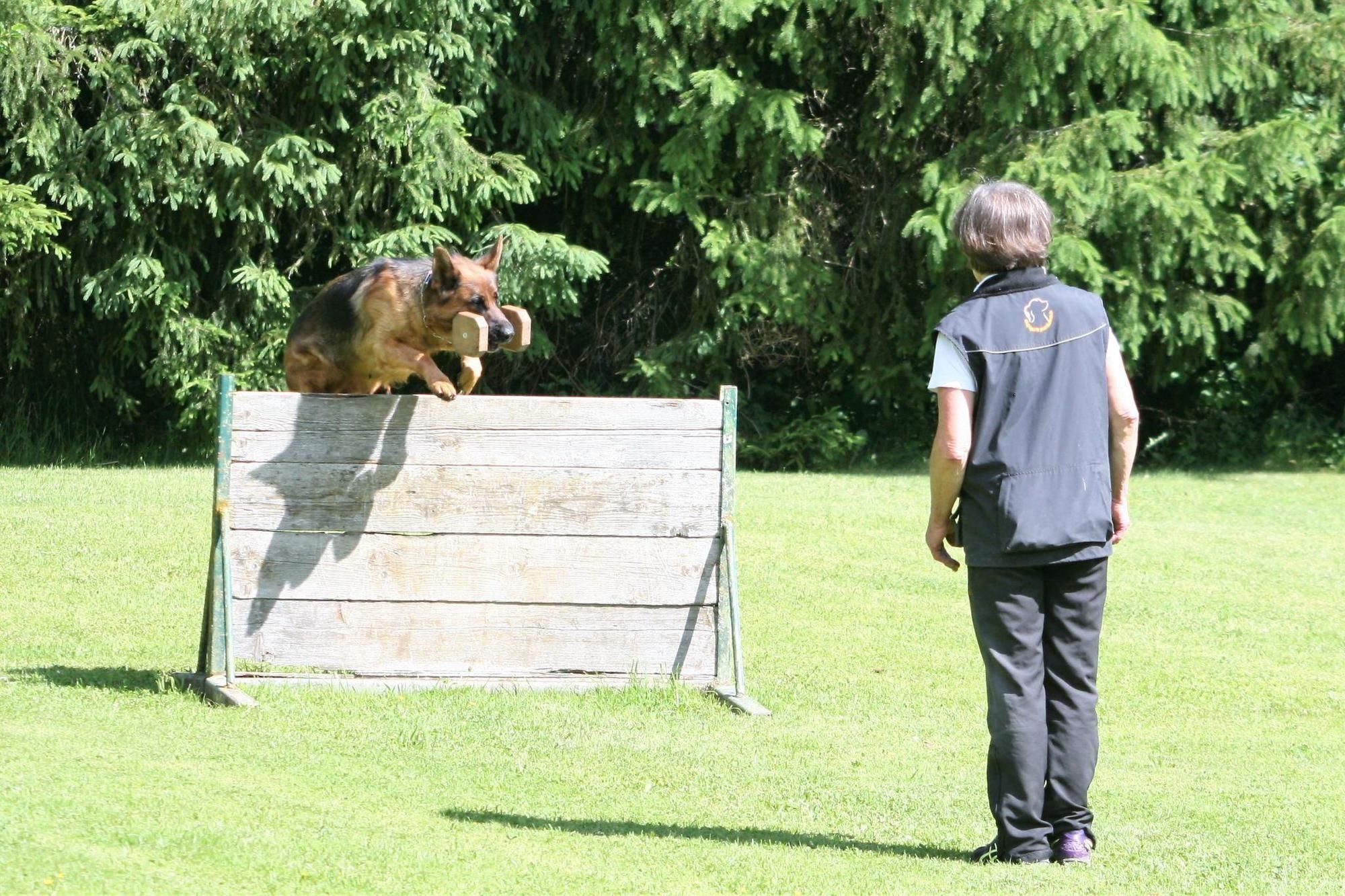 Michaela König siegt mit „Uno vom Haus Lohe“