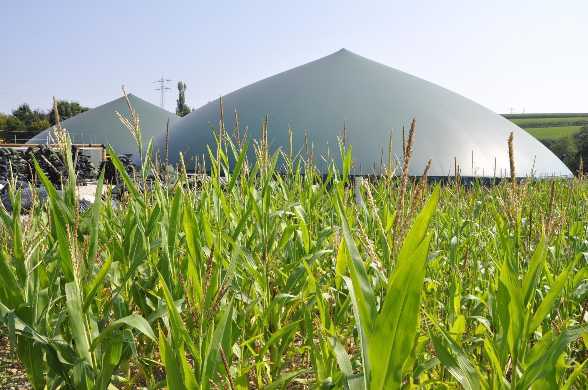Der meiste Strom stammt aus Biomasse