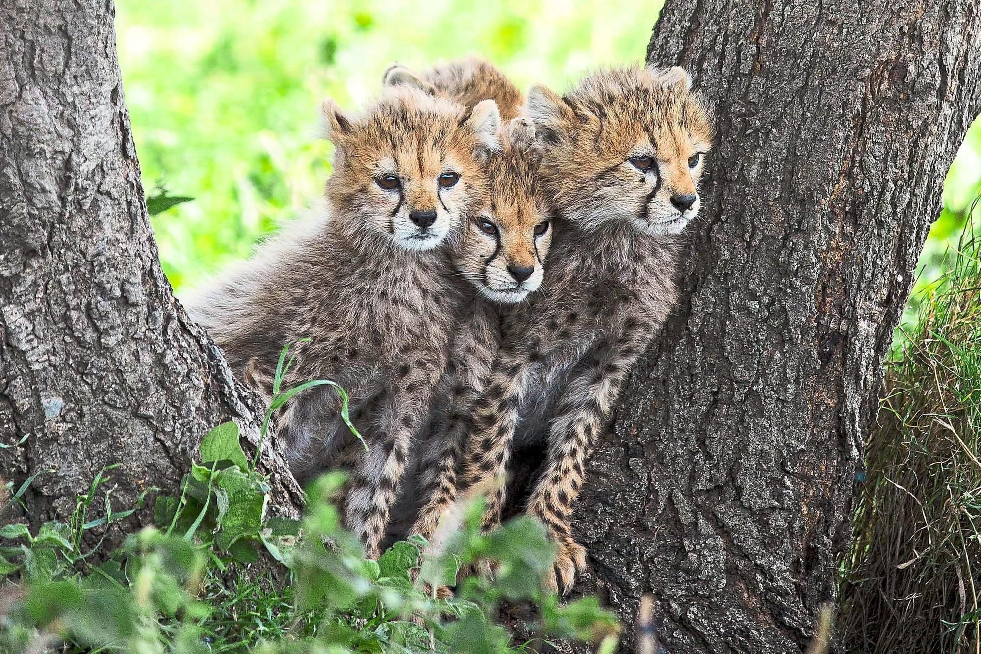 Über Andrea Pflug, Oliver Mauch und Rathauschefs
