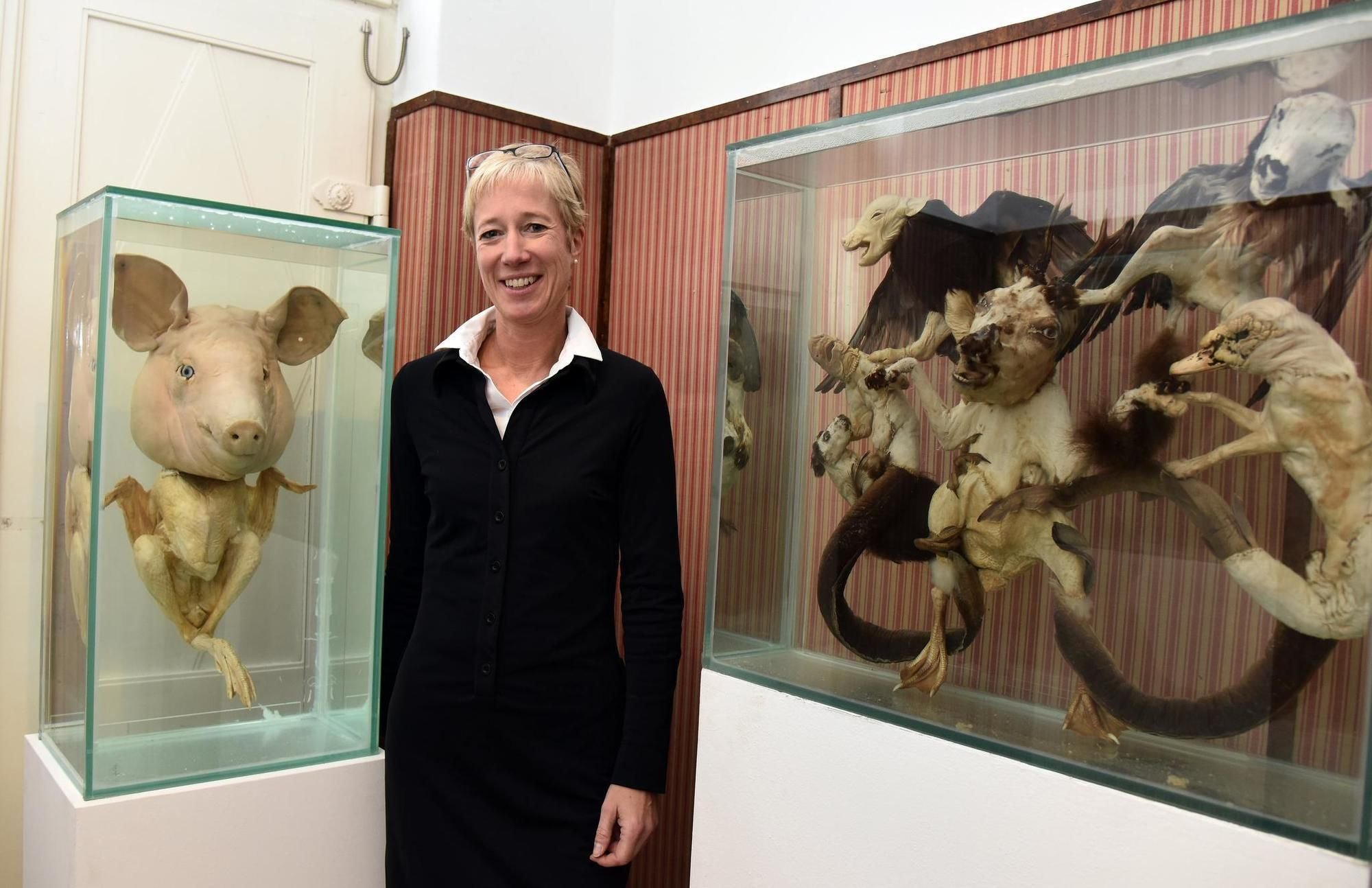 Stefanie Dathe übernimmt Leitung des Ulmer Museums