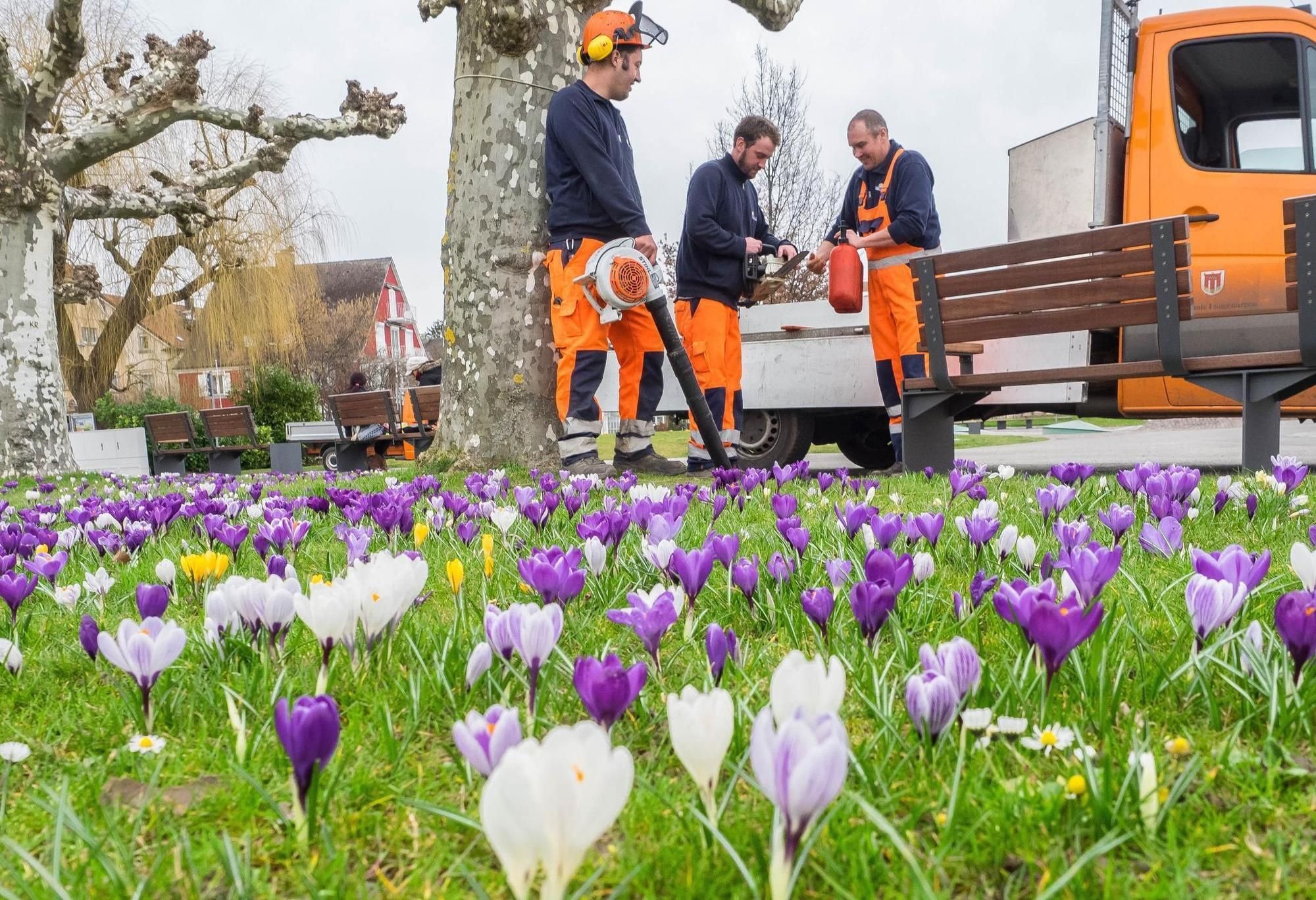 Wenn die Sonnenstube aufblüht