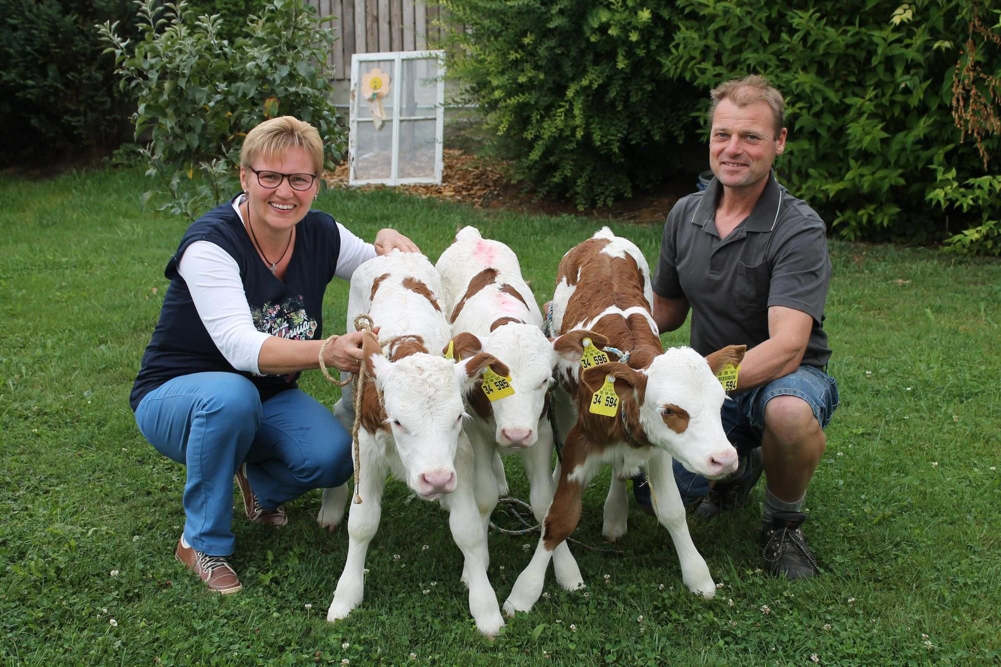 Zum ersten Mal Drillinge