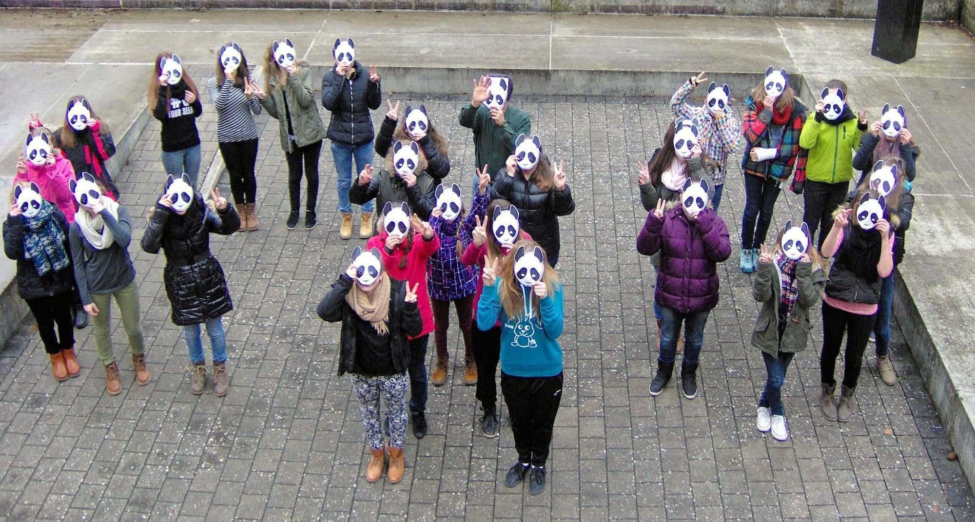 Da ist er ja schon wieder: Der rappende Panda begeistert die Schüler