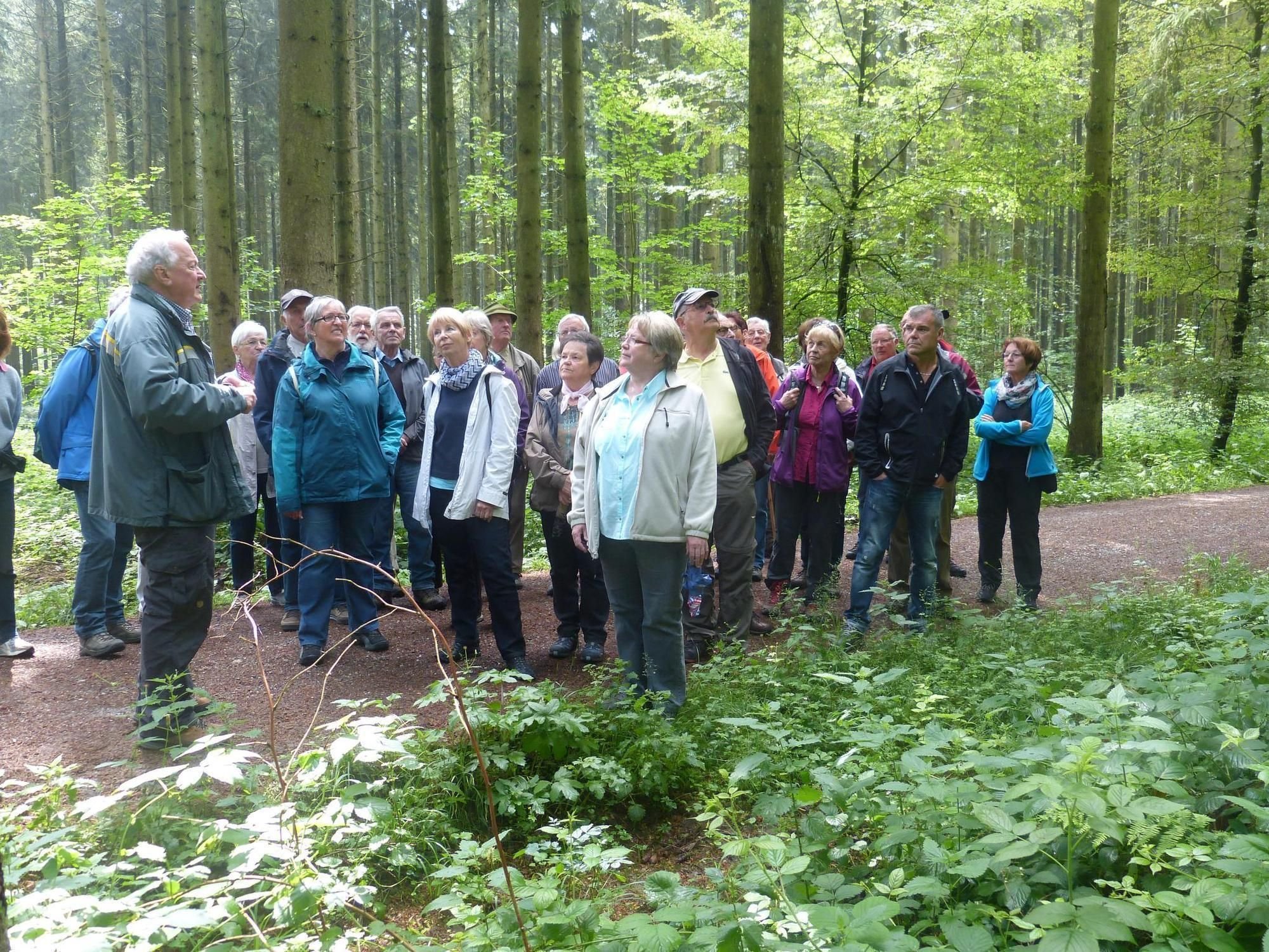 Beck führt durch den Wald