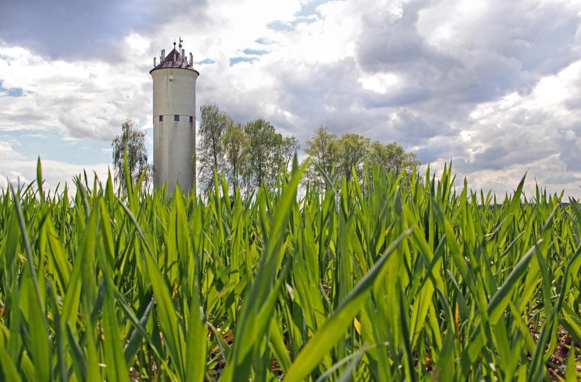 „Wasserturm ist in die Jahre gekommen“