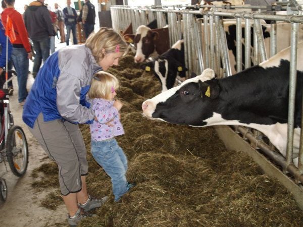 Cow-Fitting: Nur geschminkt sind sie nicht