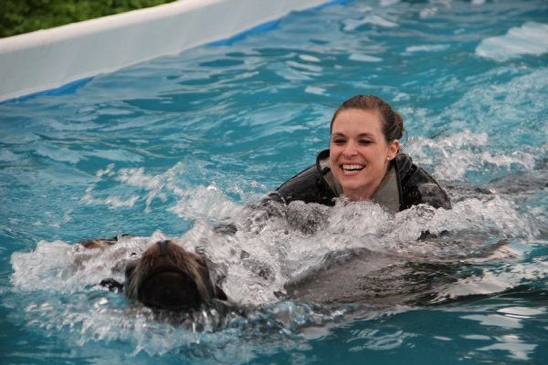 Redakteurin Tanja Bosch lässt sich von Seelöwen im Circus Krone durchs ...
