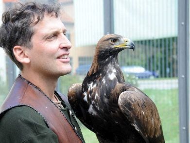 Falkner zeigt auch Adler und Uhu