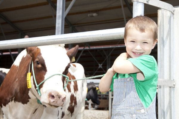 Gläserne Produktion: Von „Cow Fitting“ bis Melken