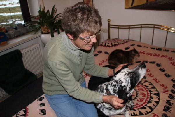 Die Tellington-Touch-Methode beeinflusst das Lernvermögen von Tieren ...