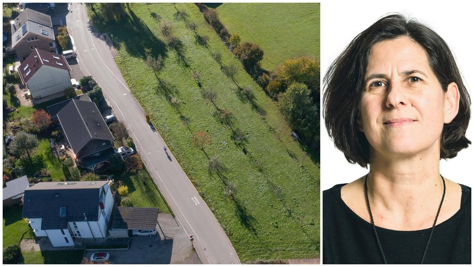 Dieses Mal bitte sachlich bleiben