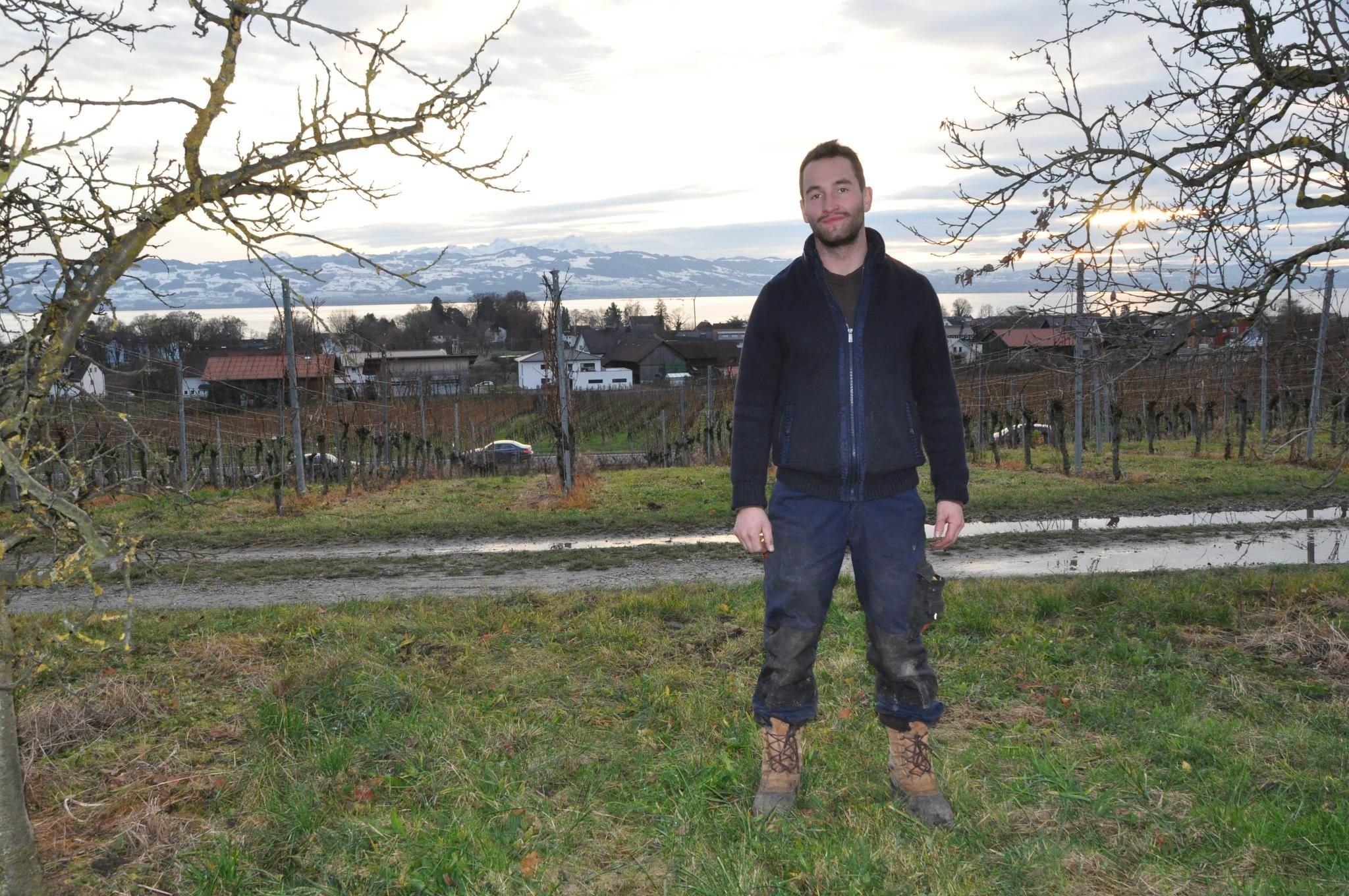 Nonnenhorn: So ist der Stand bei Winzer Hornstein