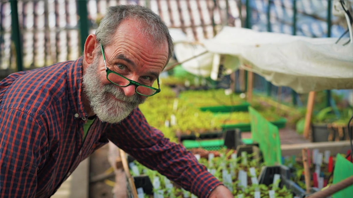 Der Herr der Tomaten: Michael Schick pflanzt 1360 Sorten in Bronnen