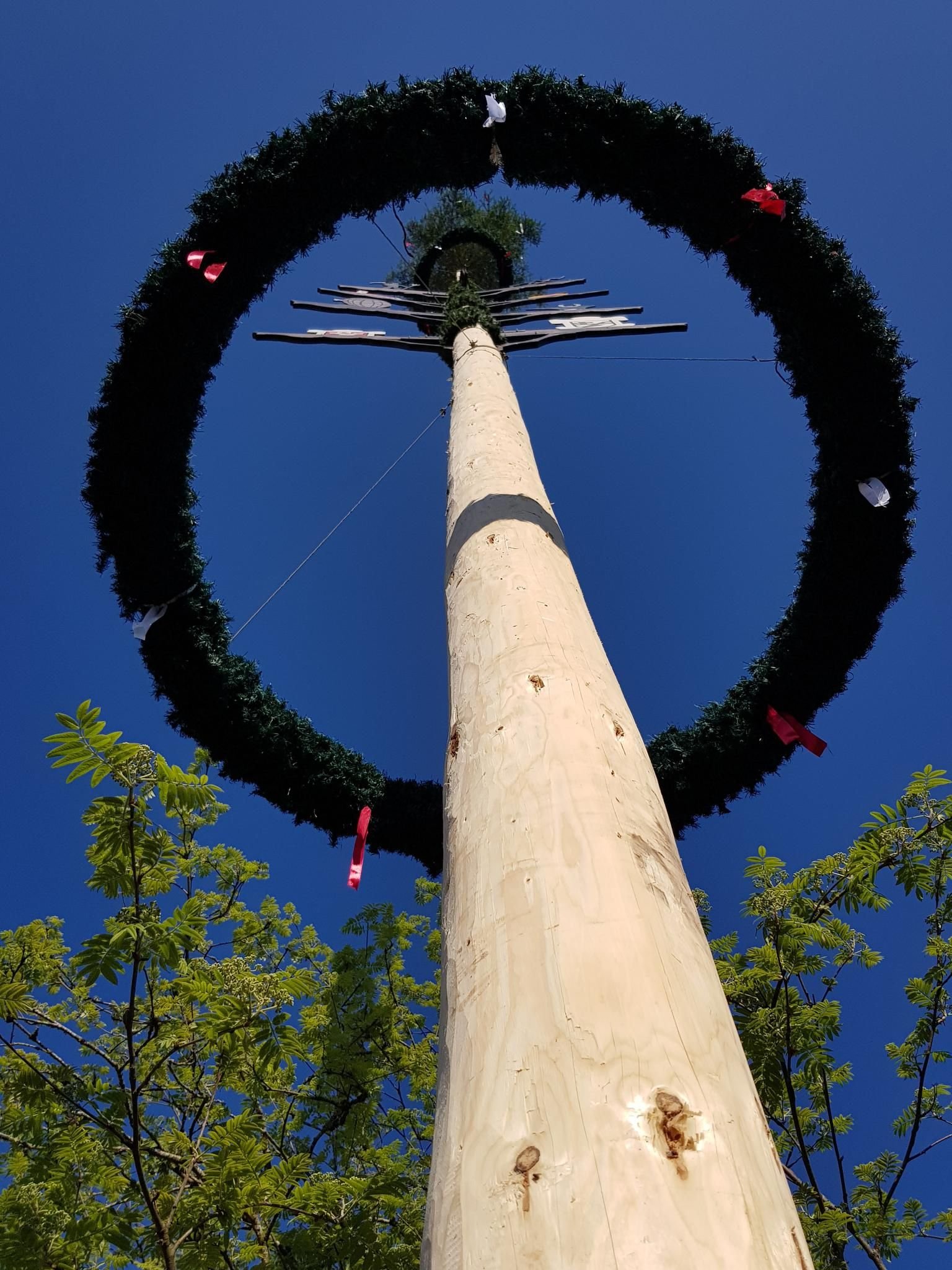 Maibaum–Tradition lebt fort in Rohrdorf