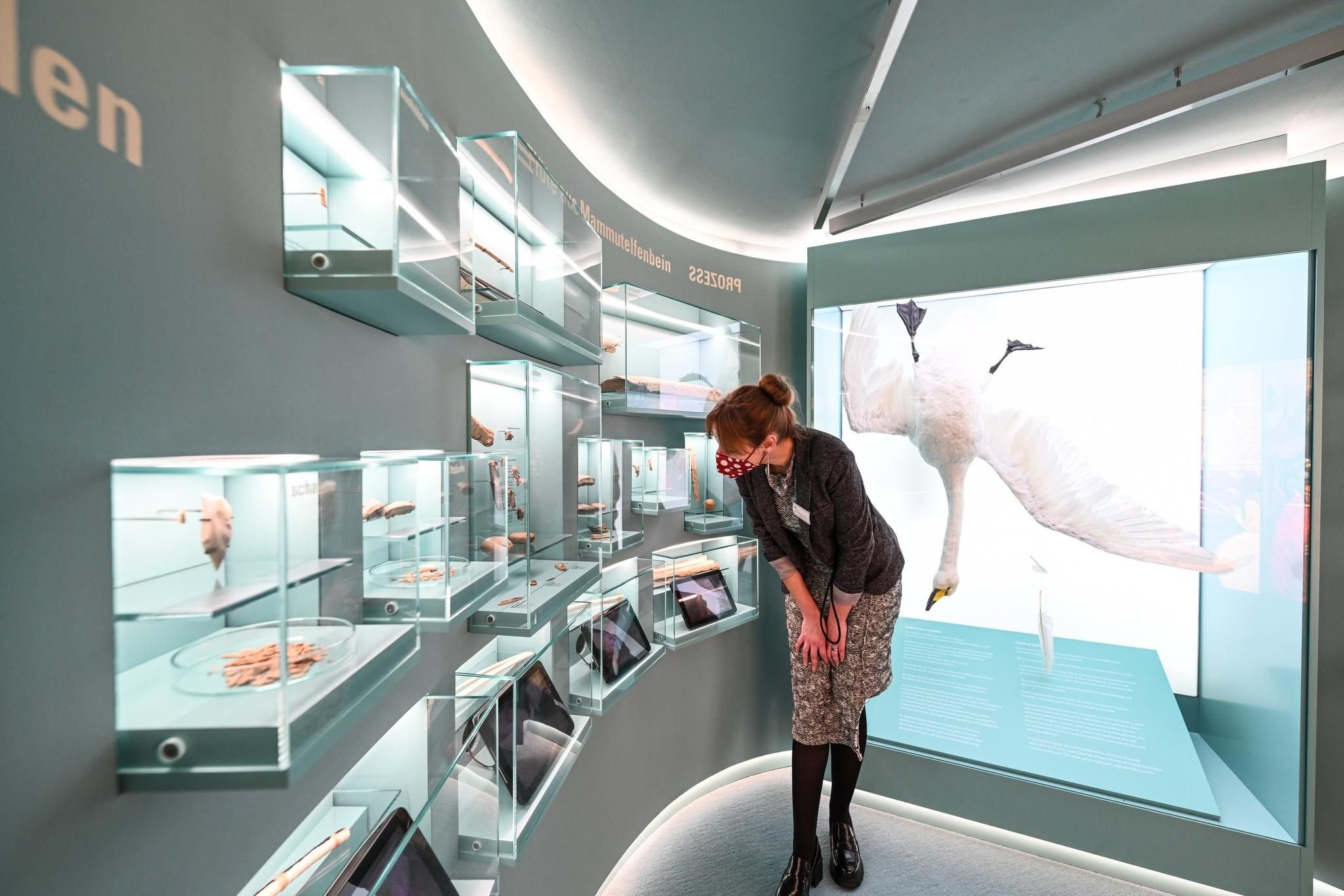 Digitale Schnitzeljagd durchs Museum