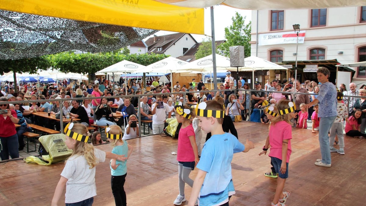 Das war das FiZ Fest im Zentrum in Allmendingen