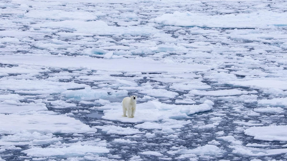 Geo-Engineering in der Arktis: Wolken gegen den Klimawandel