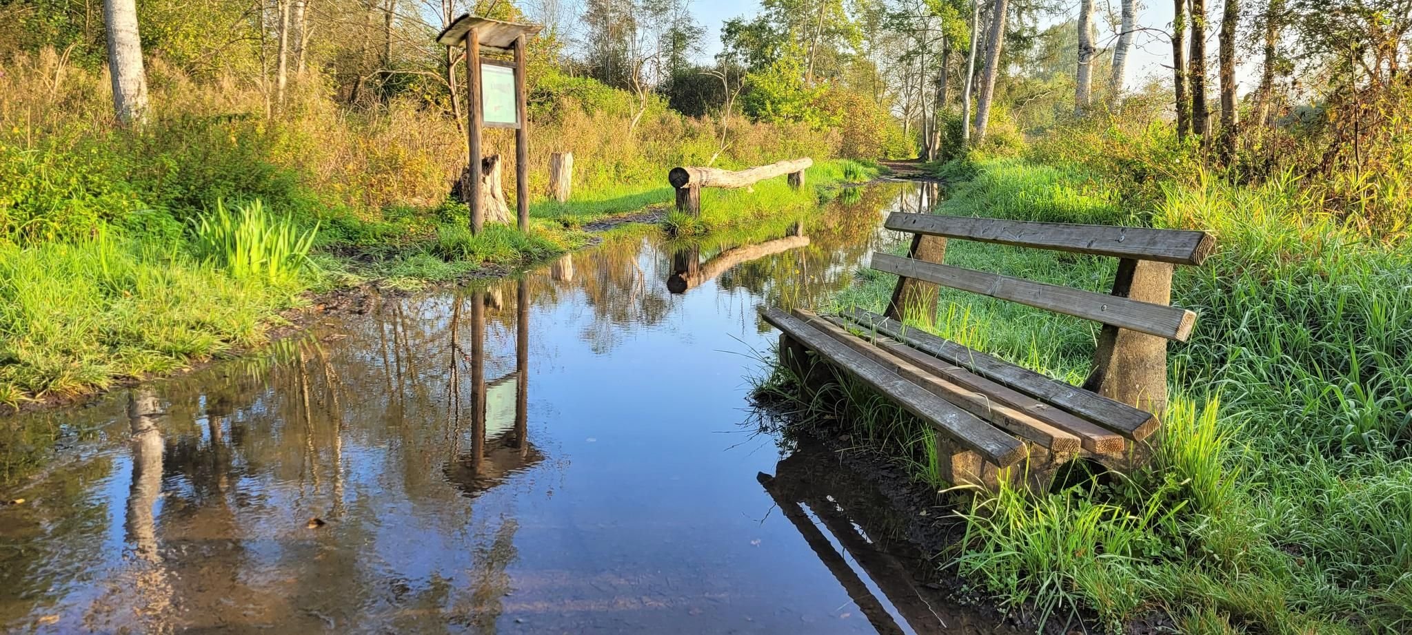 Bad Buchau: Wackelwald steht im Wasser