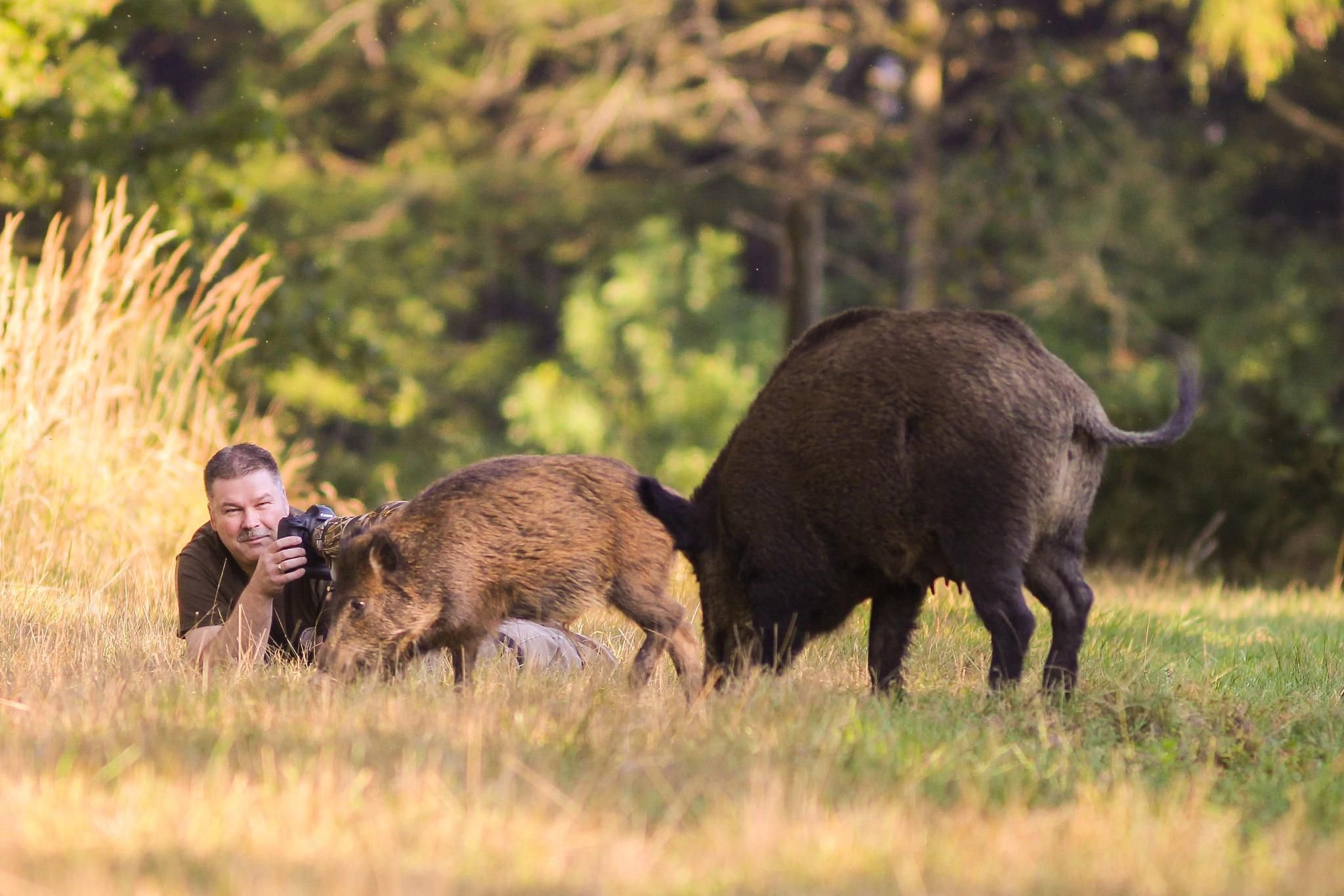 Wie dem Naturfotografen Thomas Muth faszinierende Tierfotos gelingen
