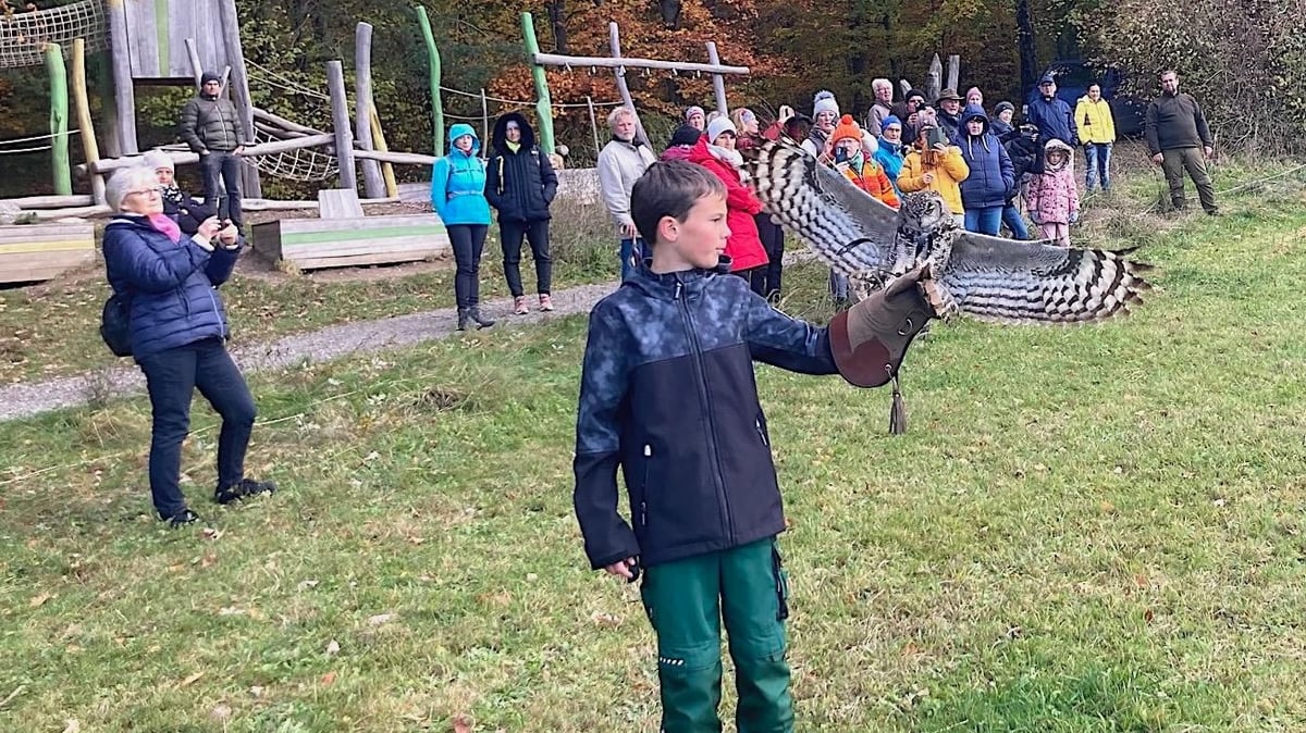 Haidgauer Falkner Daniel Paulat präsentiert seine Tiere