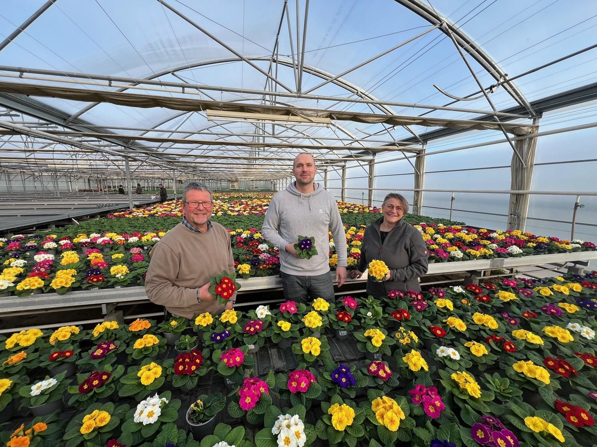 Aus der Gärtnerei Elser wird die Alb-Gärtnerei