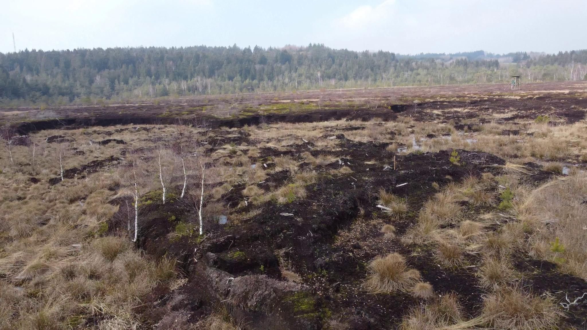 Torfabbau in Vogt: Umweltschützer fordern Renaturierung