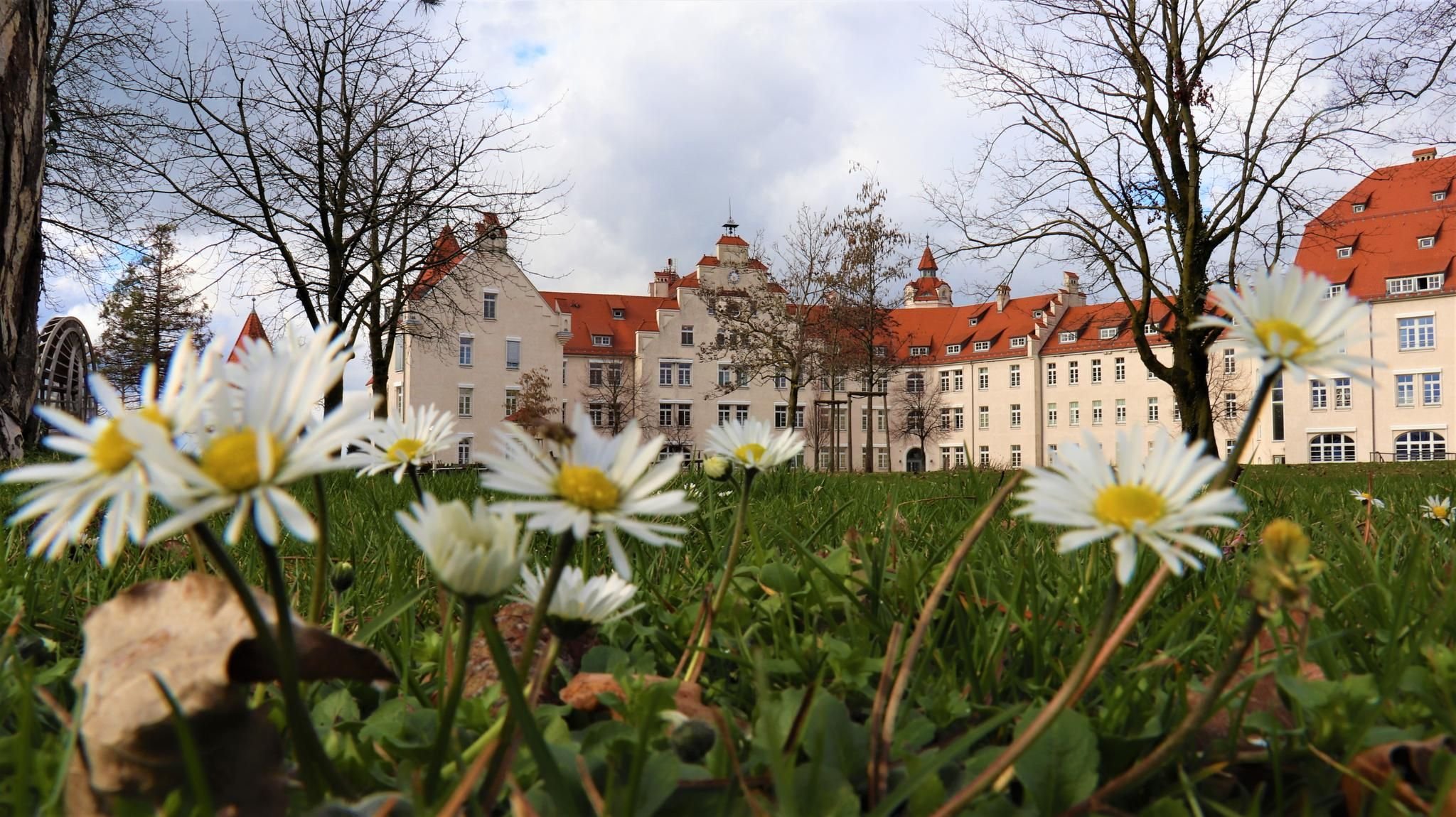 Milde Winter verändern das Ökosystem
