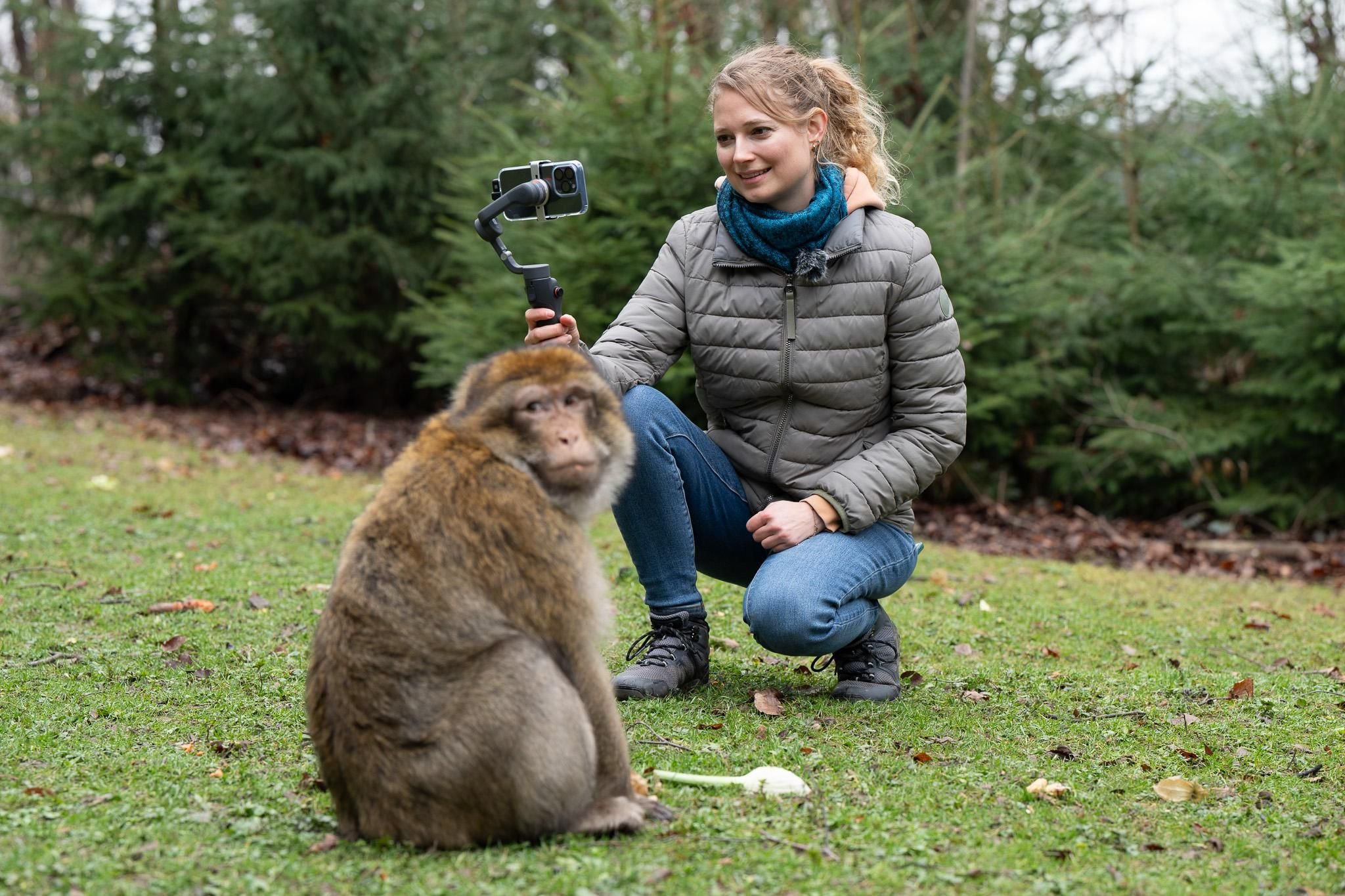 Salem: Mit Neuerungen startet der Affenberg in die Saison