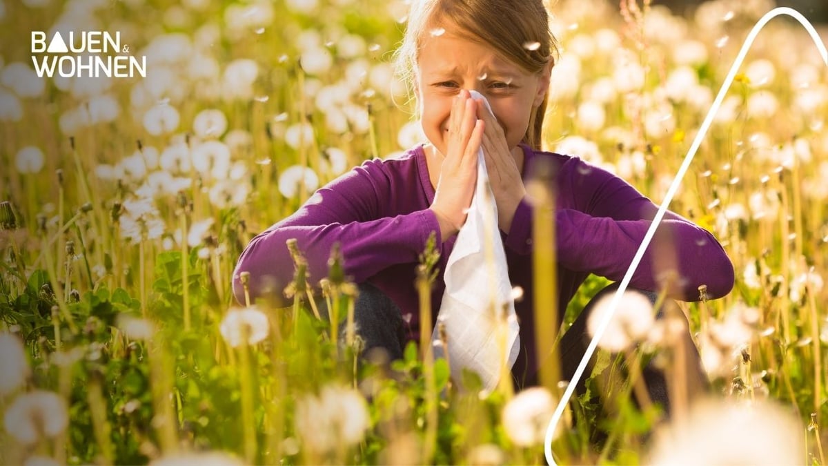 Pollenallergie bekämpfen: Effektive Tipps von Experten
