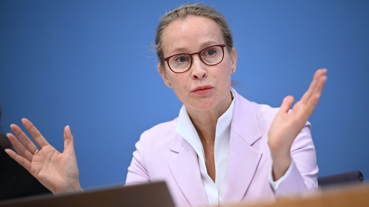 Zu Links fürs Verfassungsgericht? Kritik an Juristin Brosius-Gersdorf