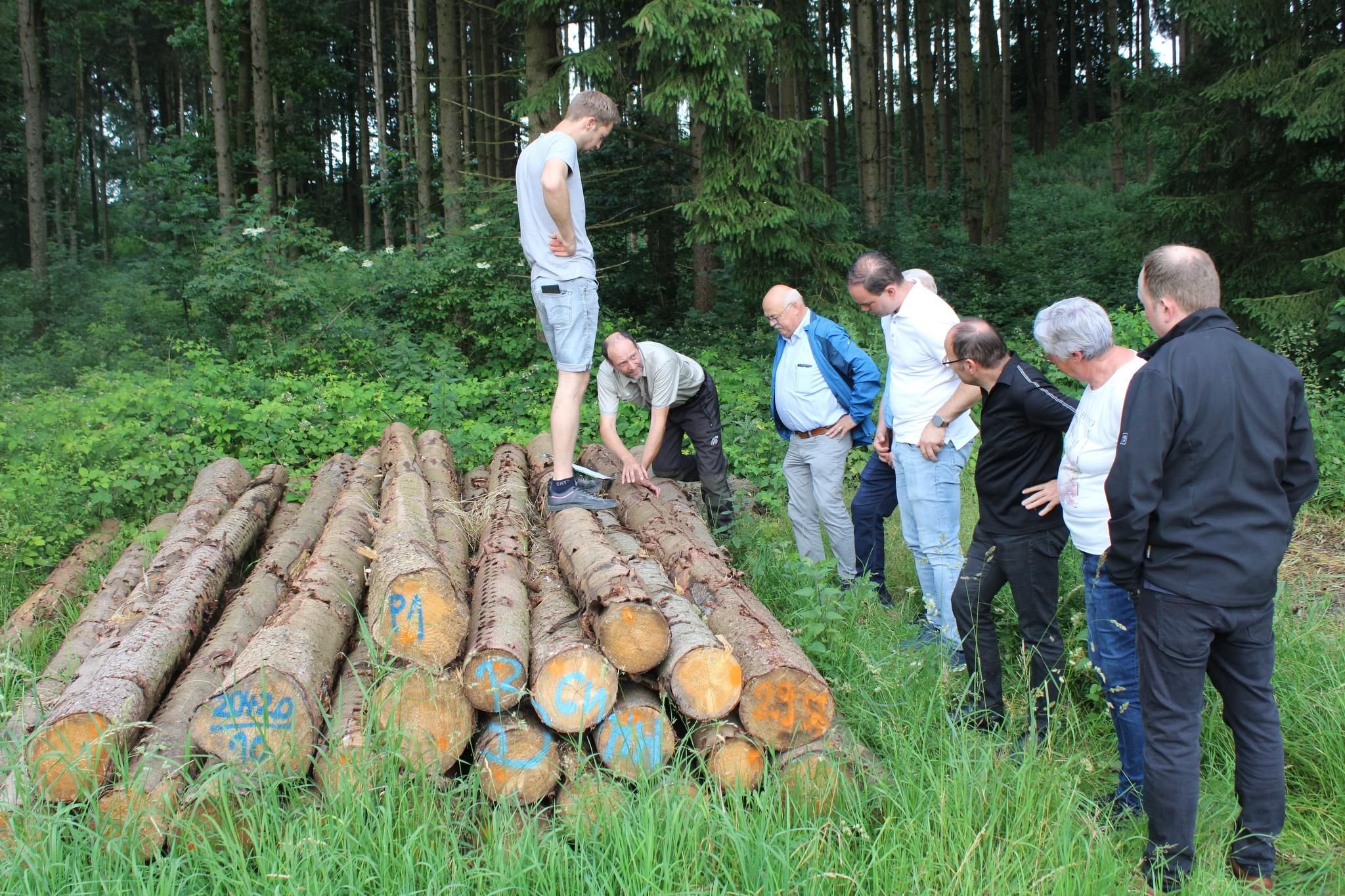 Klimawandel kommt im Gemeindewald an