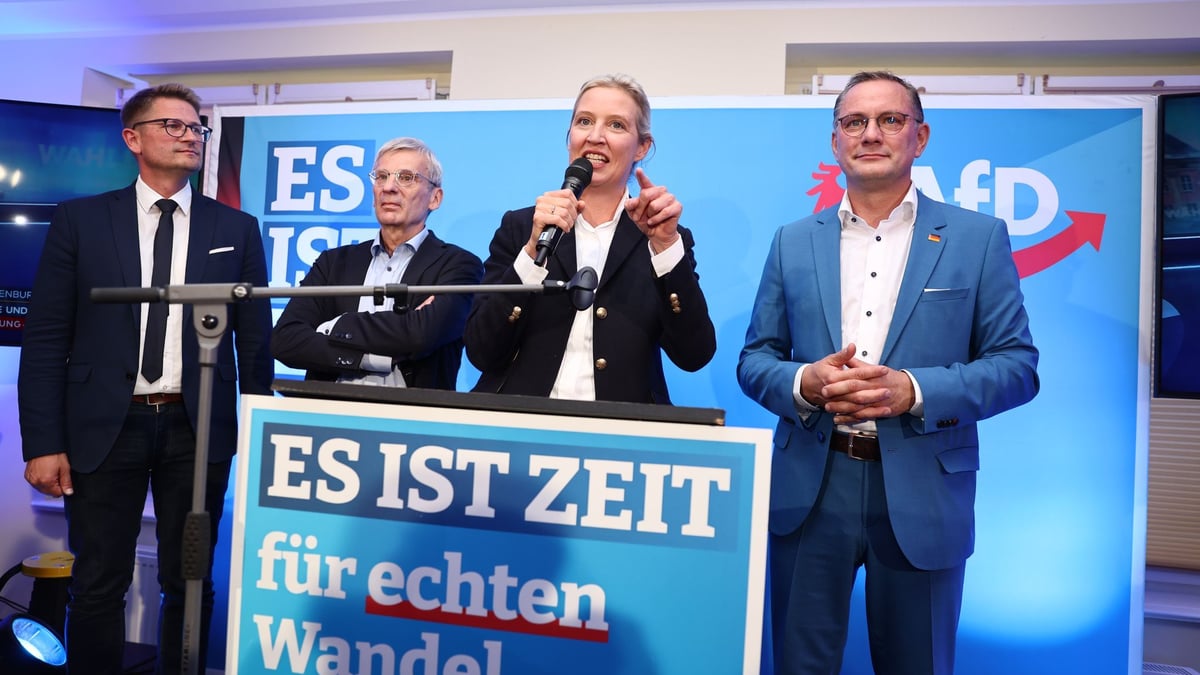 „Wir schieben sie alle ab“: AfD polarisiert bei Wahlparty mit Abschiebe ...