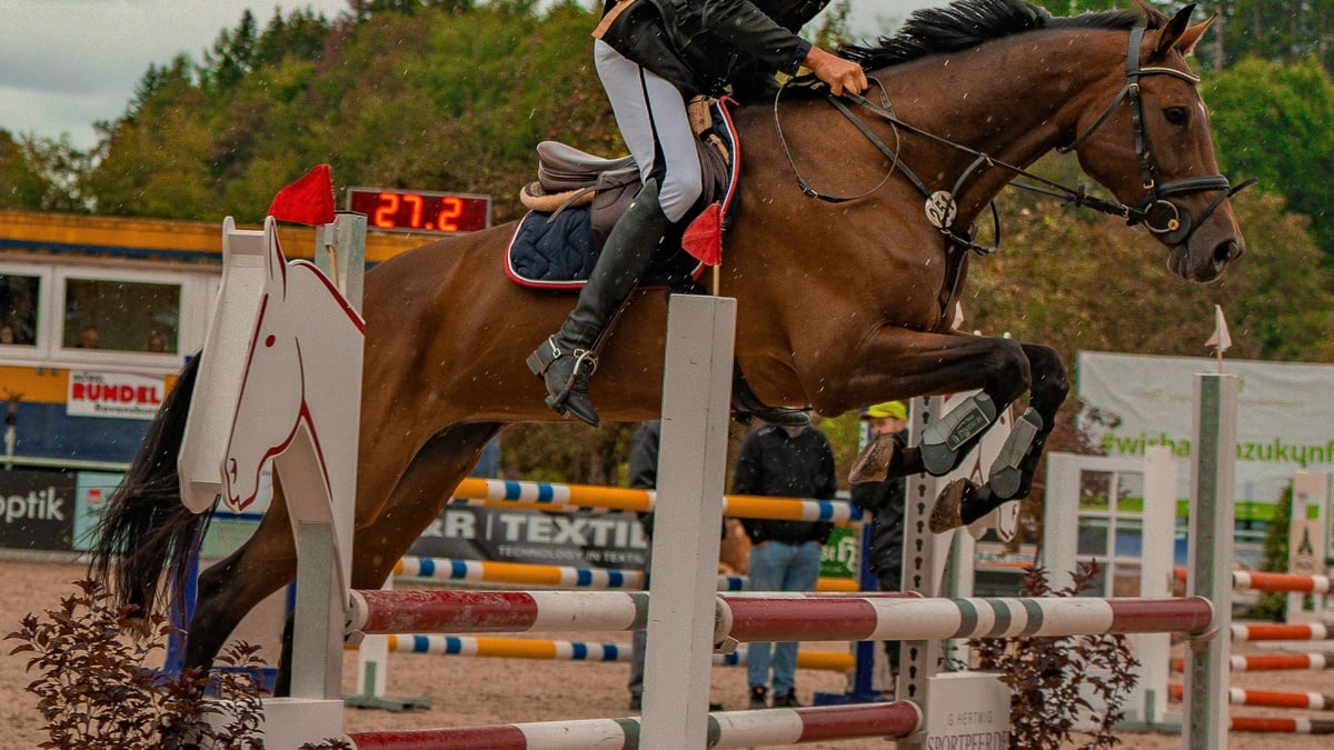 Erfolgreiche Turniersaison 2024 für Peter Hutter