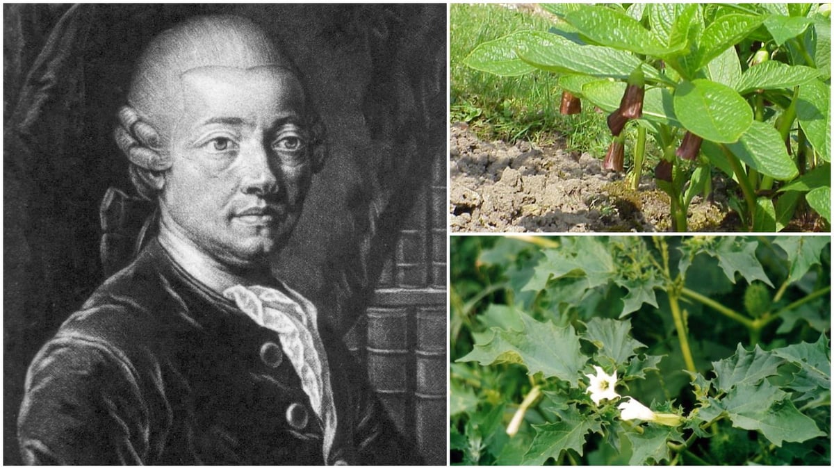 Er konsumierte krasses Zeug - heute ist eine Schule nach ihm benannt