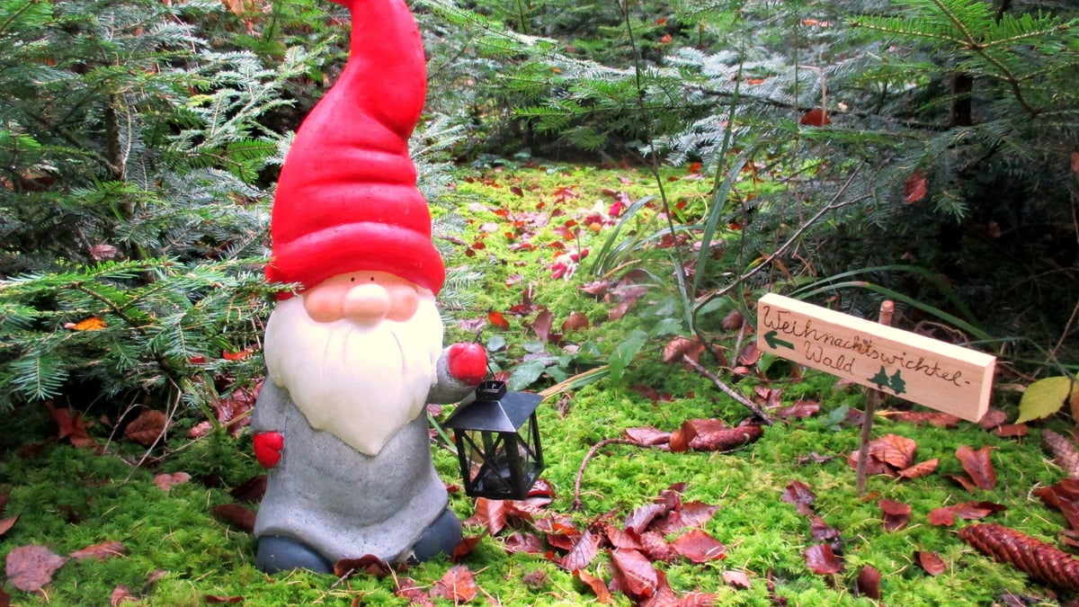 Weihnachtswichtel sind zurück im Welzheimer Tannwald
