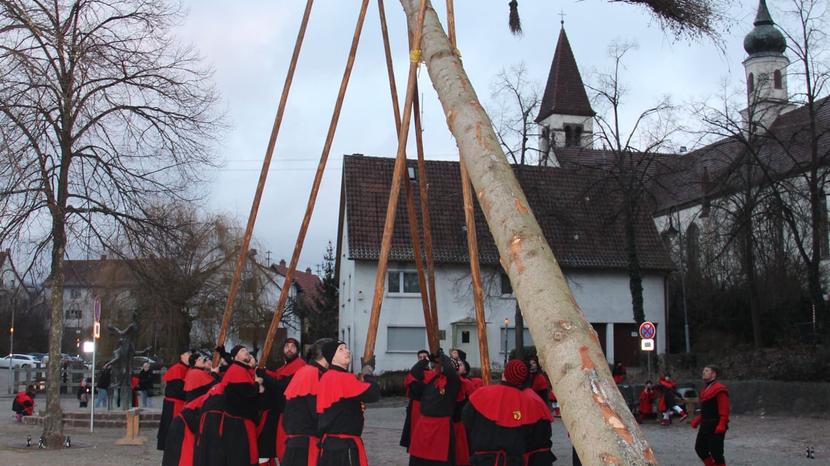 Bisinger Hexen stellen den Hexenbesen auf