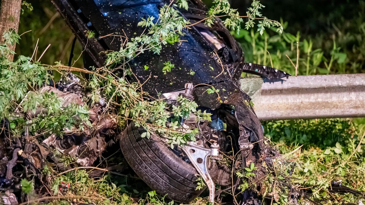 Auto prallt gegen Baum – Baby und Teenager tot