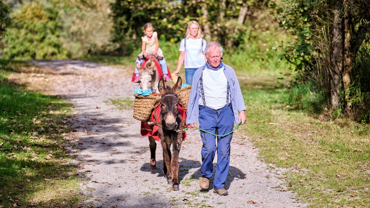 Am Pfingstmontag mit Eseln wandern