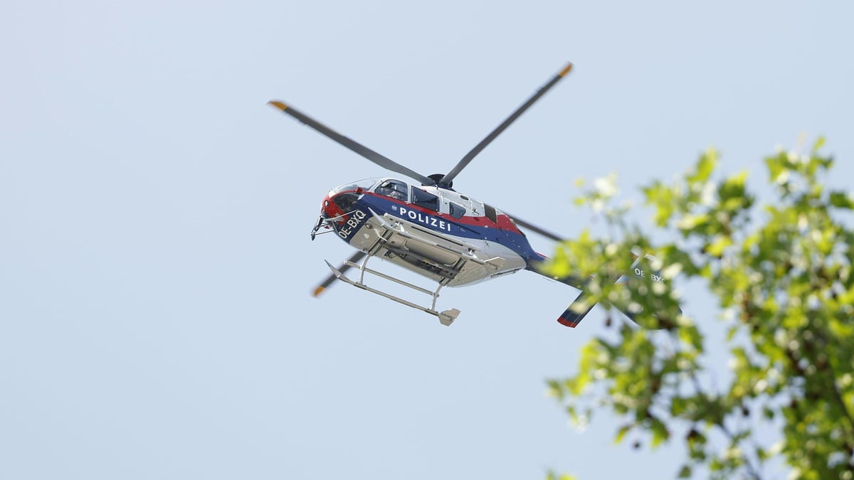 Brooke marsden try on nude the companion came to my home