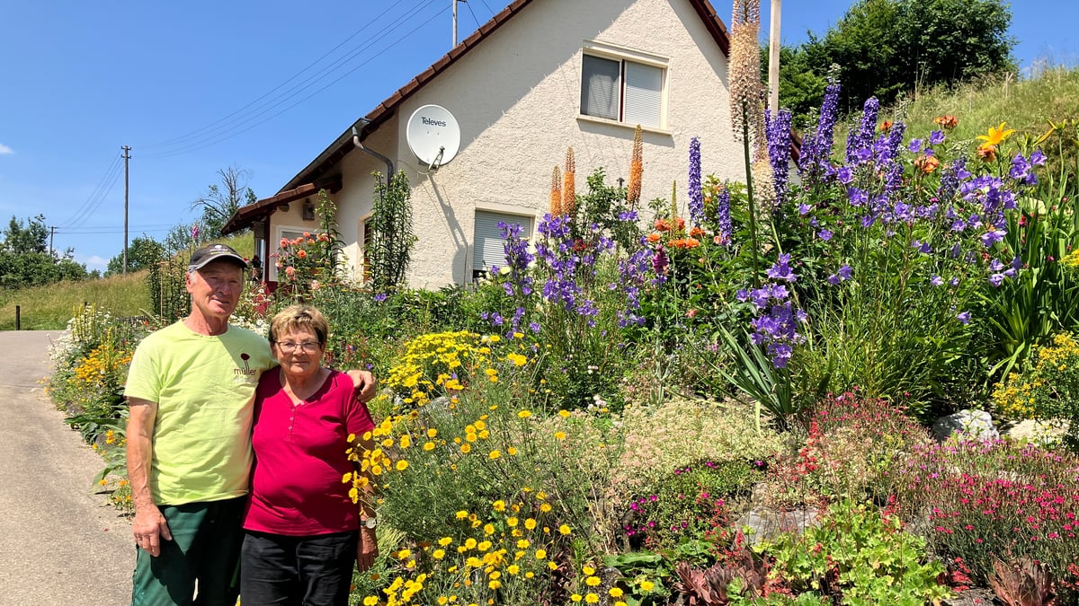 روابط telebox سكس she is youthful and has a remarkable rear.